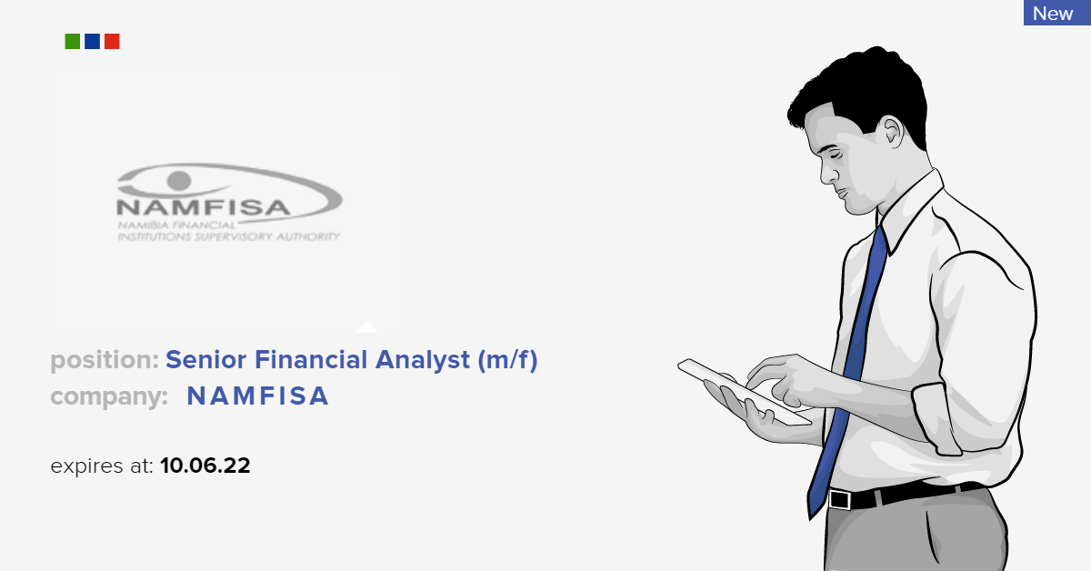 NAMFISA: Senior Financial Analyst (m/f), Windhoek - Working.co.na