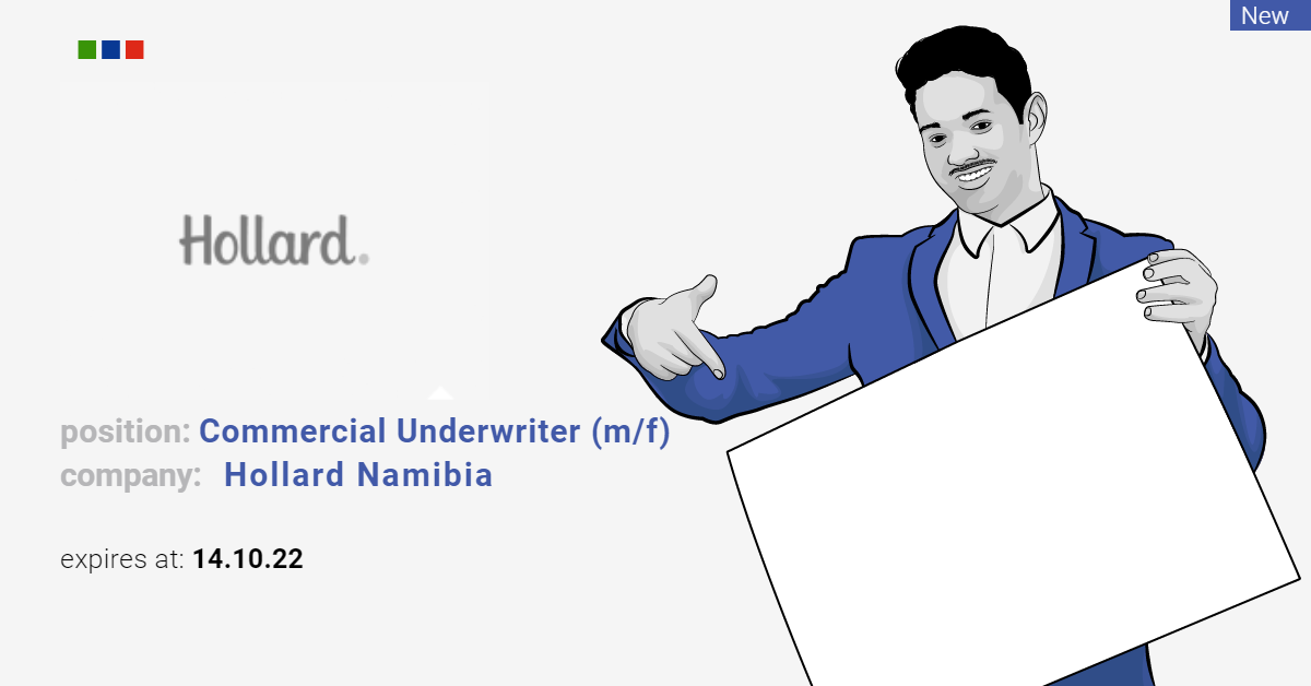 Hollard Namibia: Commercial Underwriter (m/f), Windhoek - Working.co.na